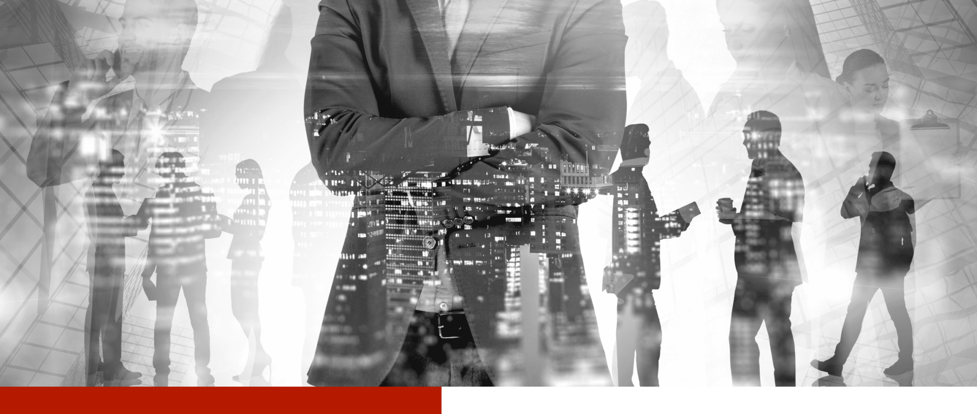 Primal Branding: A Guide for C-Suite Leaders